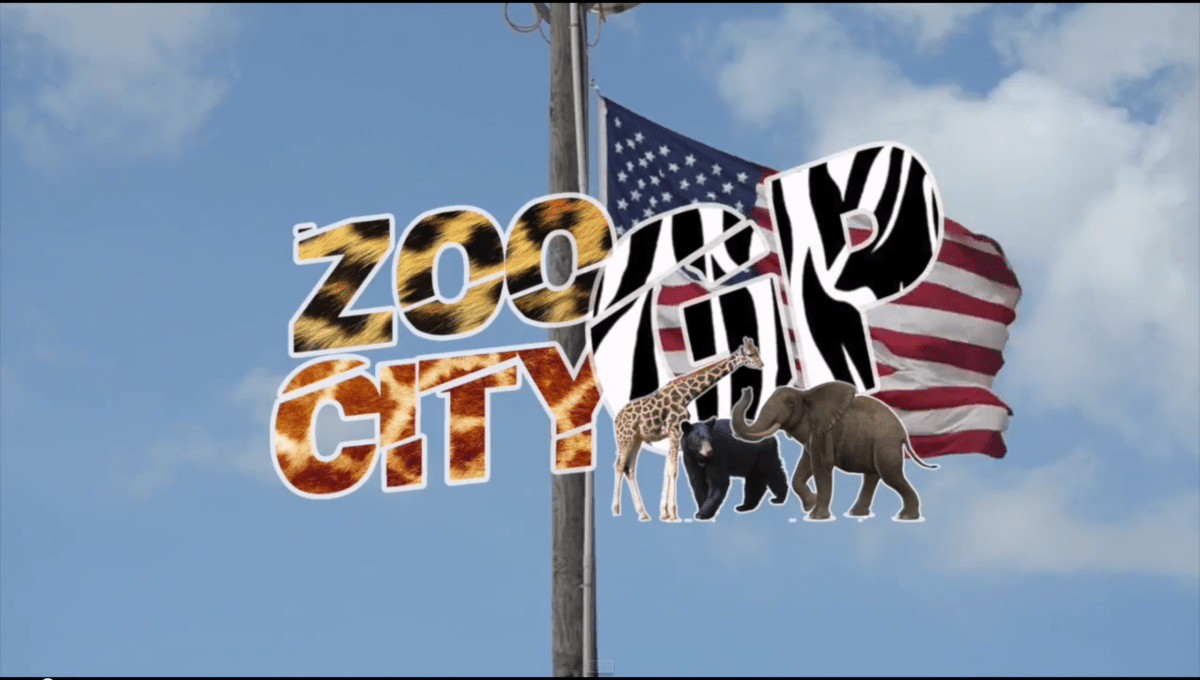 2015 Zoo City GP Video – Bolton Adventures